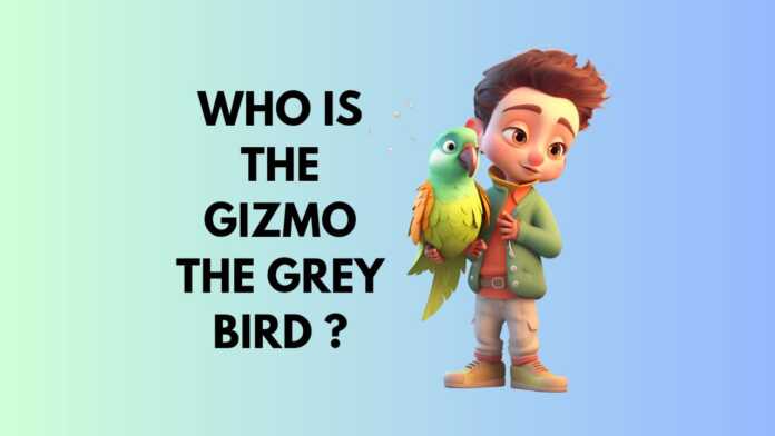 Who is Gizmo the Grey Bird And Why Is It So Viral?